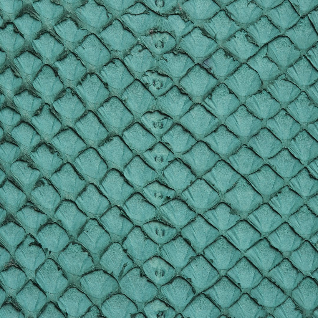 Pelle di Squama - Collezione Raccolta Grezza