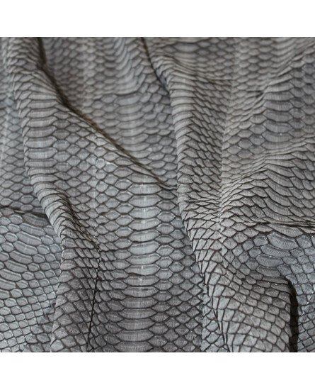 Serpente in pannelli