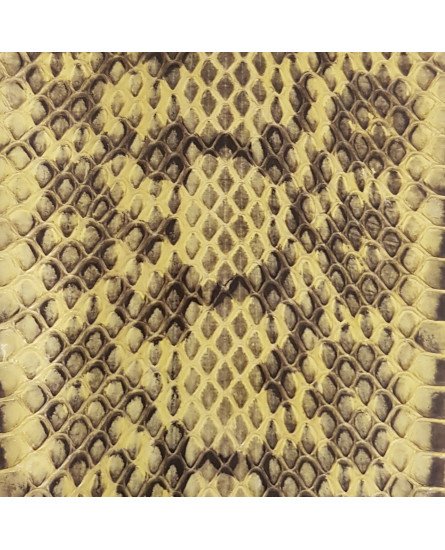 ELAPHE RADIATA FRONT CUT MONOCOLORE CF 2825