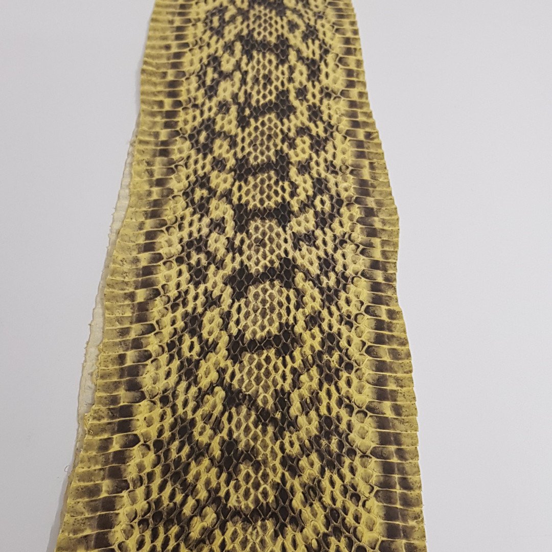 ELAPHE RADIATA FRONT CUT MONOCOLORE CF 2825