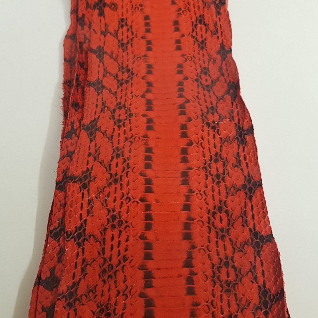 ELAPHE RADIATA BACK CUT MONOCOLORE CF 2677